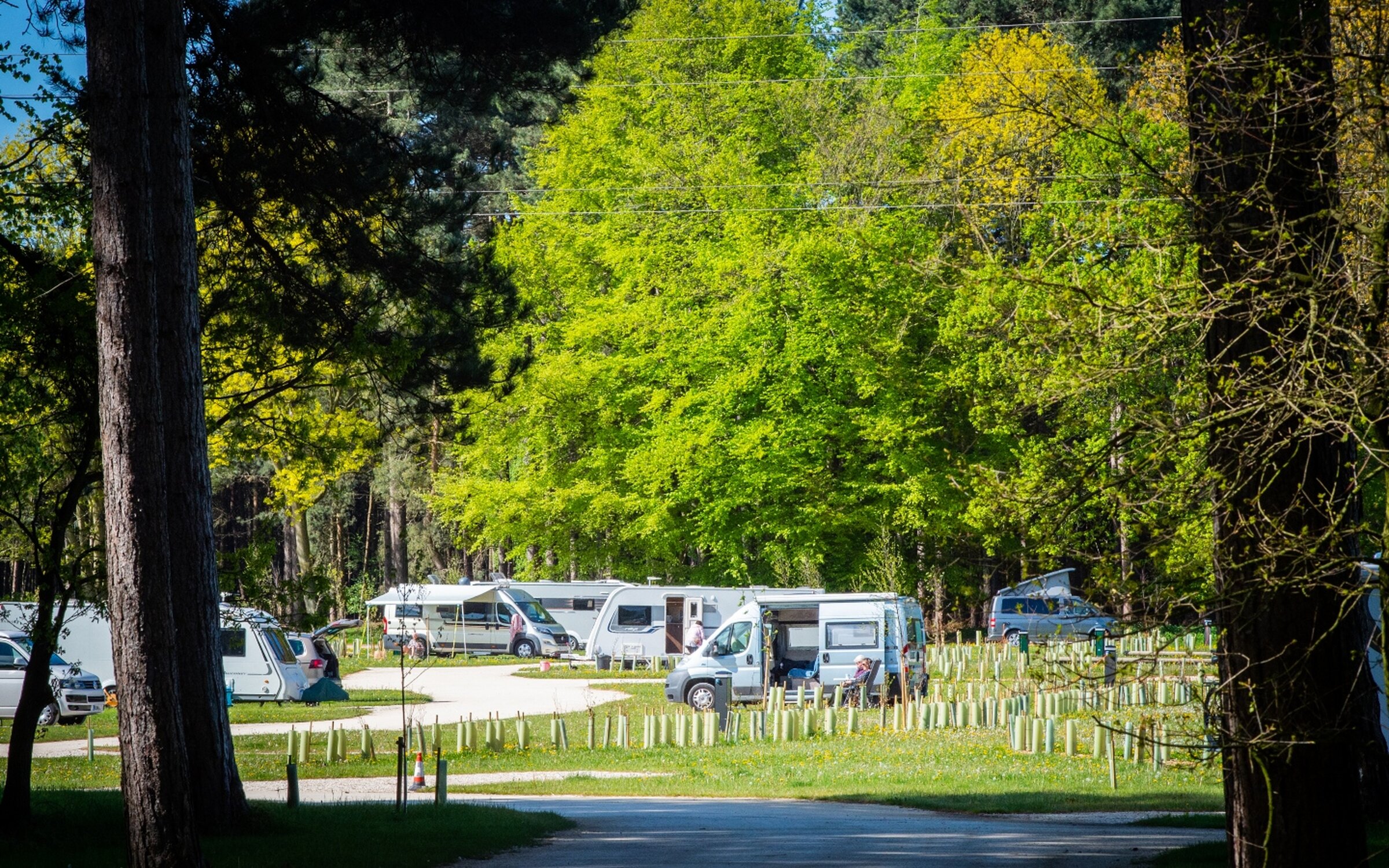 Sherwood Pines Camping Forestry England